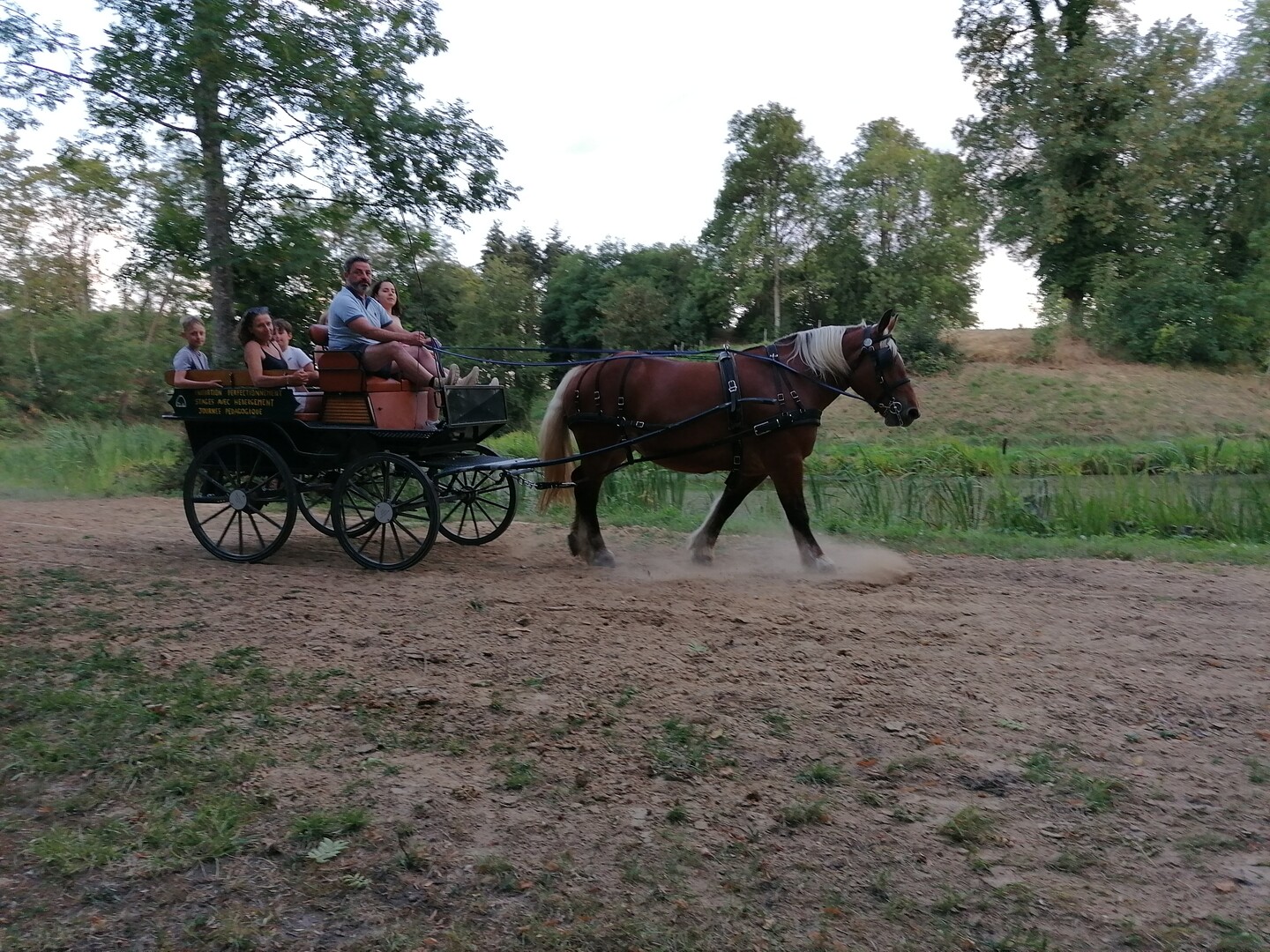 Ferme Equestre de Lagesse - Family, Leisure - activities - Lagesse