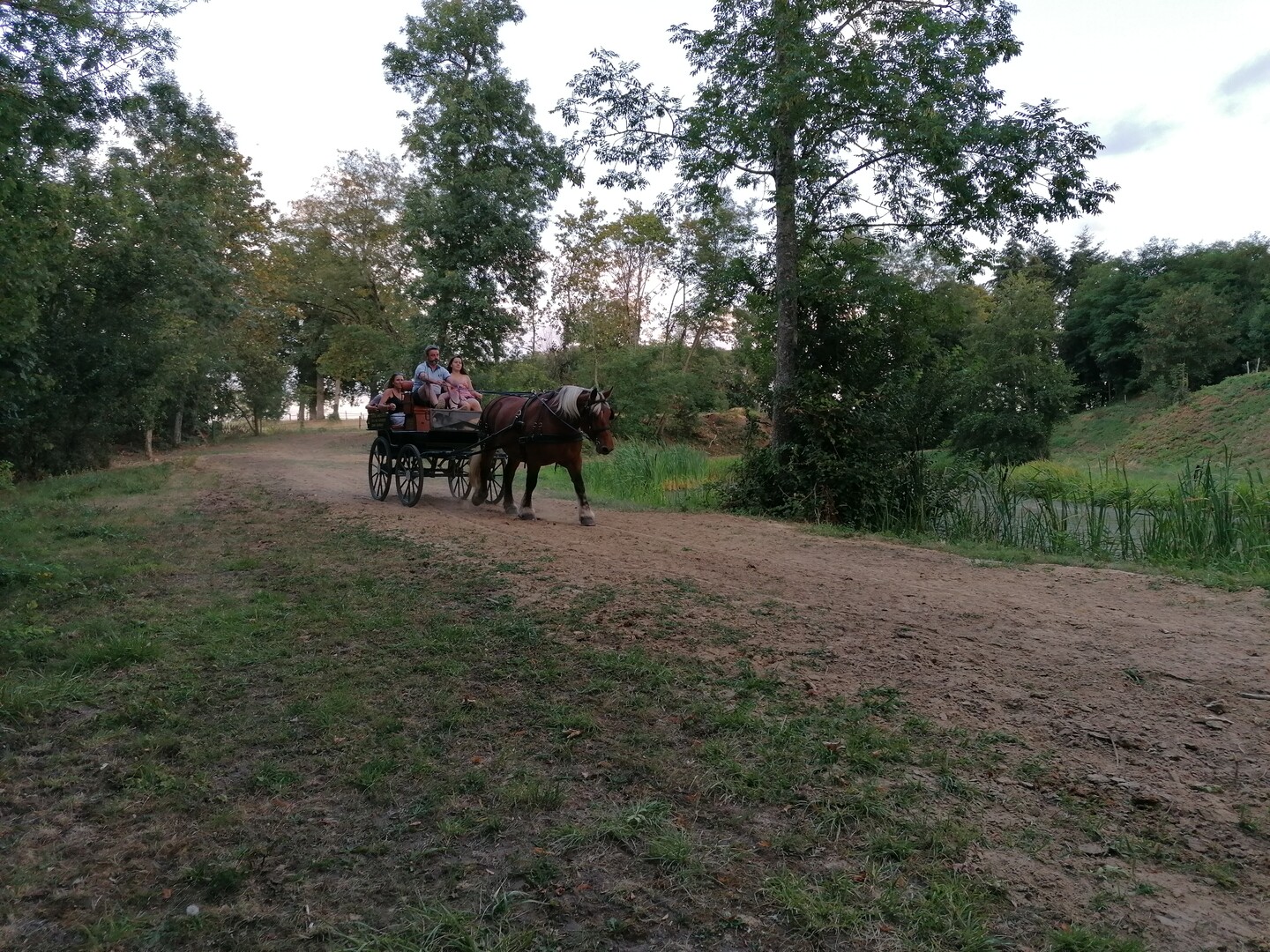 Ferme Equestre de Lagesse - Family, Leisure - activities - Lagesse