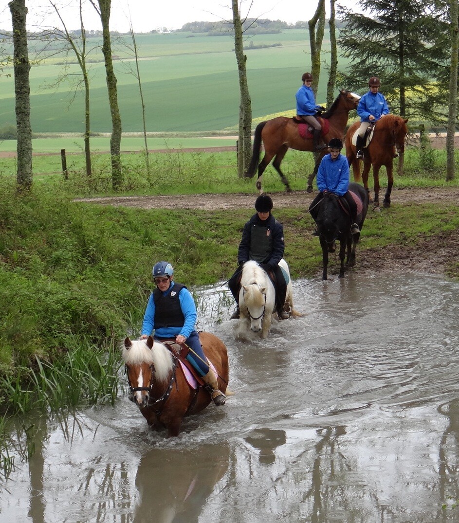 Ferme Equestre de Lagesse - Family, Leisure - activities - Lagesse