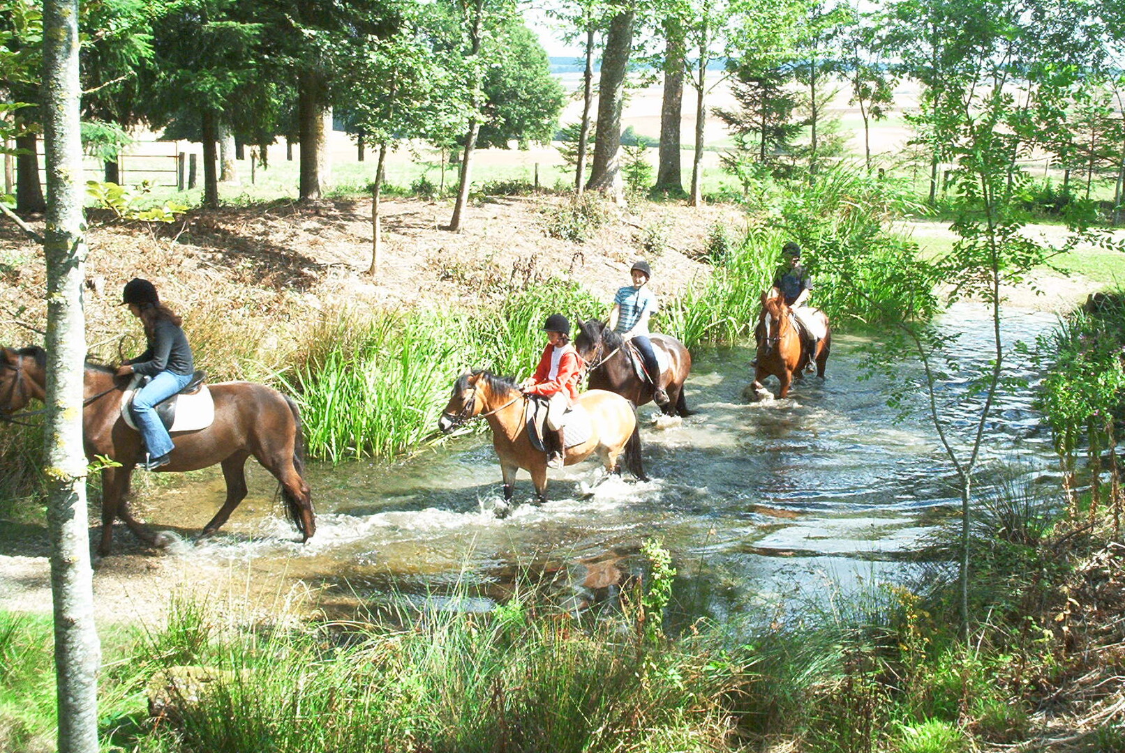 Ferme Equestre de Lagesse - Family, Leisure - activities - Lagesse