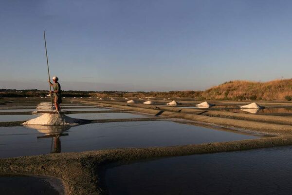 Terre de Sel (Guérande) | Brittany Tourism Terre de Sel (Guérande) | Brittany Tourism