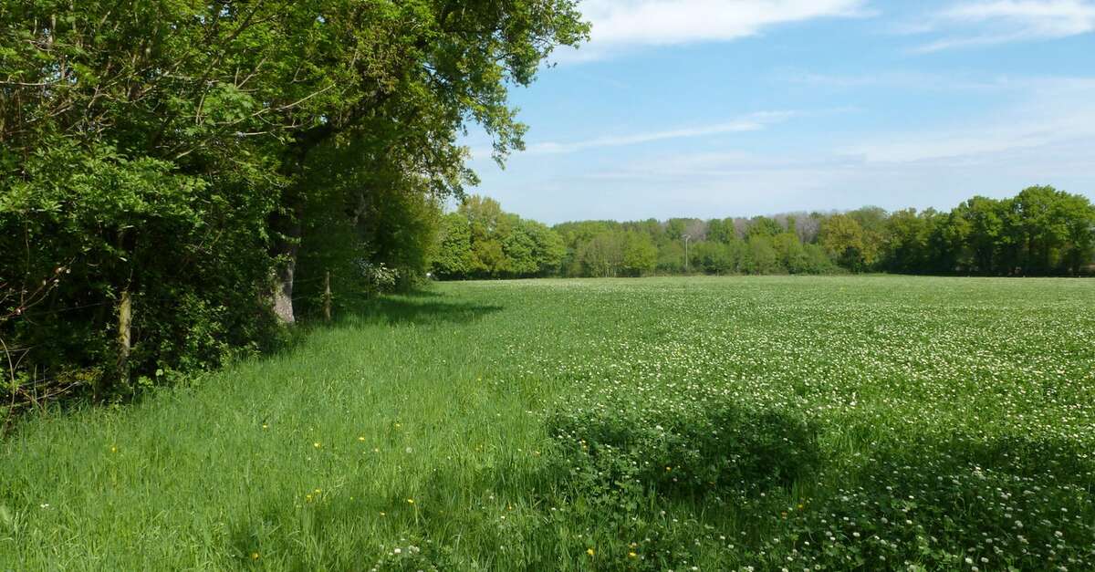 Balade en Bocage - Nature et détente - Combrand | Office de Tourisme du ...