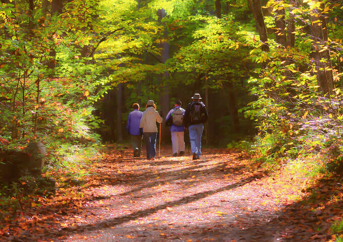 Office de Tourisme Lac du Der en Champagne